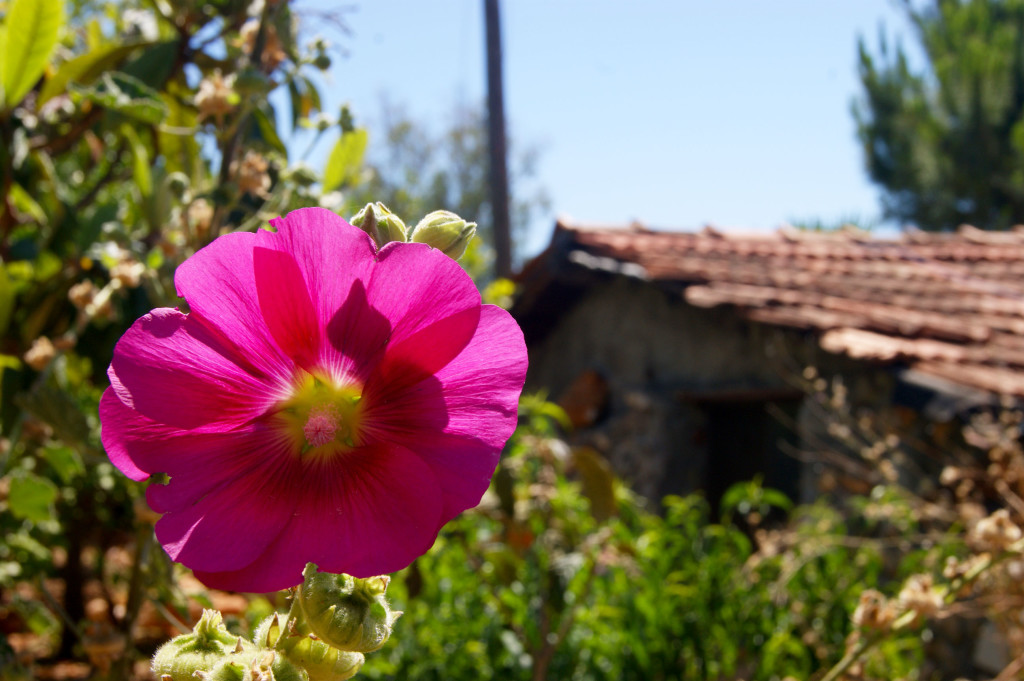 10 reasons to Travel to Turkey - Kelana by Kayla