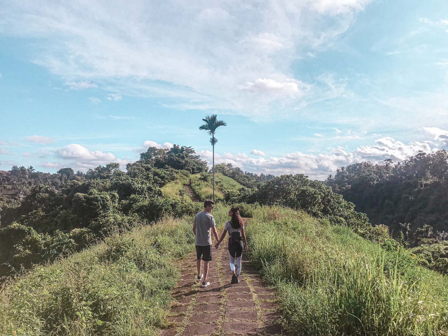 Campuhan Ridge Walk in Ubud Bali - Complete Guide to this Lush Walk ...