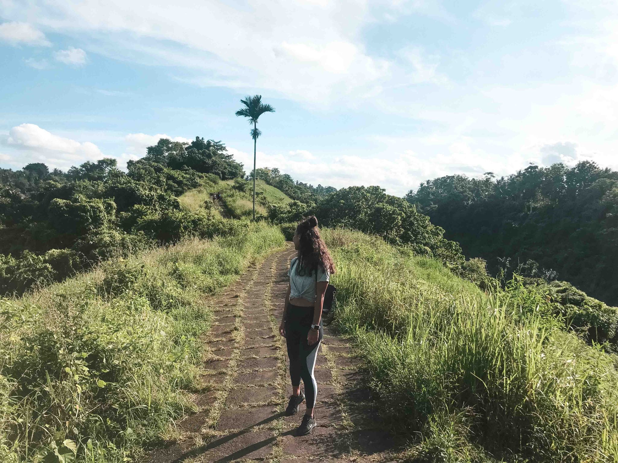 Campuhan Ridge Walk in Ubud Bali - Complete Guide to this Lush Walk ...