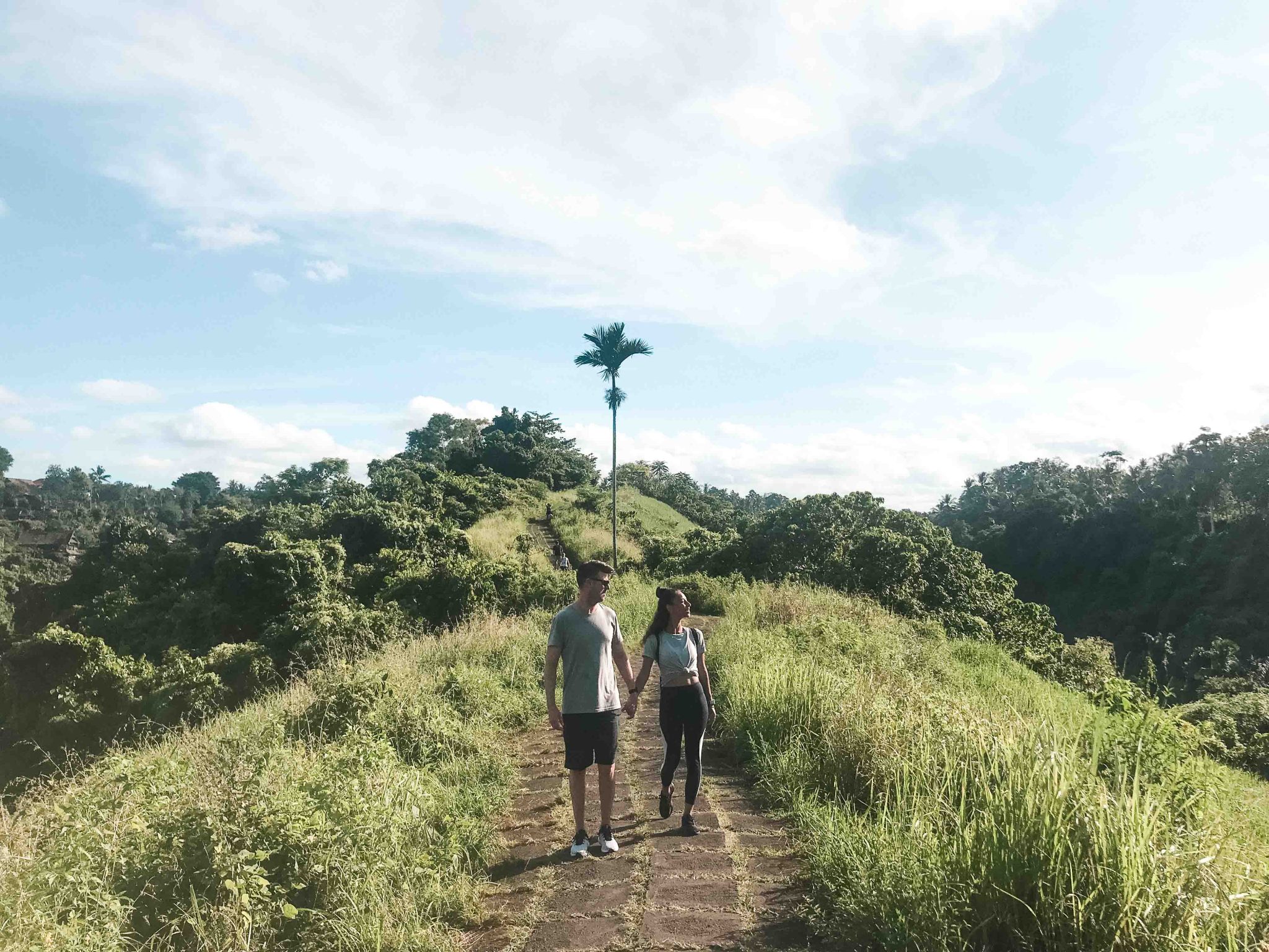 Campuhan Ridge Walk in Ubud Bali - Complete Guide to this Lush Walk ...