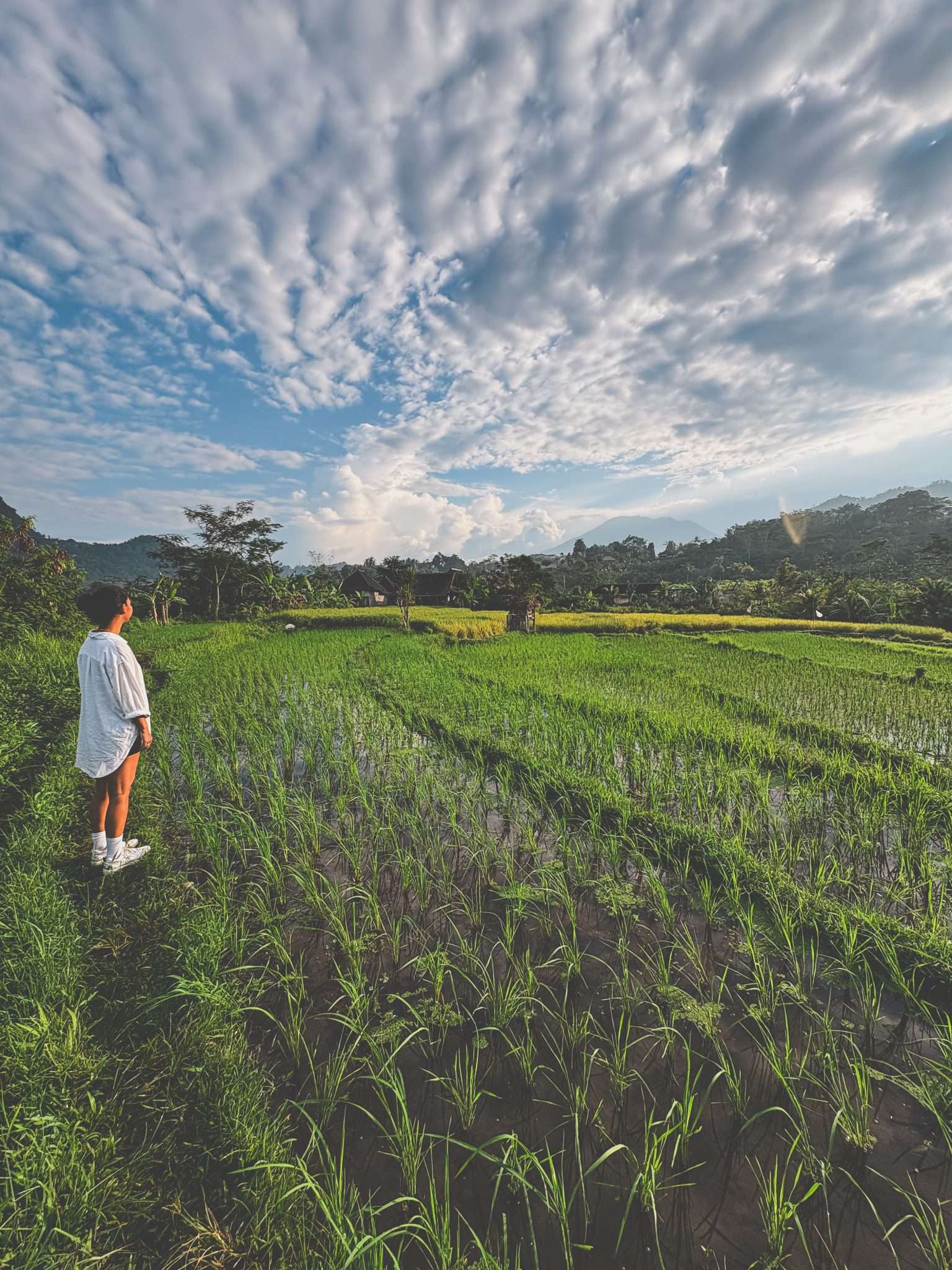 Sidemen Bali Guide – Bali's Hidden Gem: What to Do, Where to Stay ...