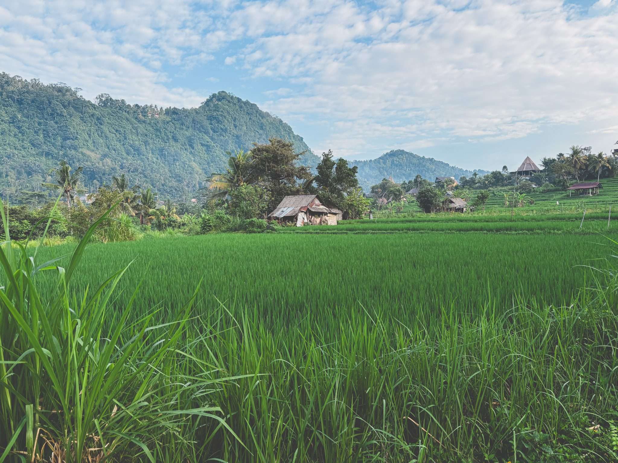 Best Areas in Bali - Bali Travel Guide + Where to Stay in 2026 - Kelana ...